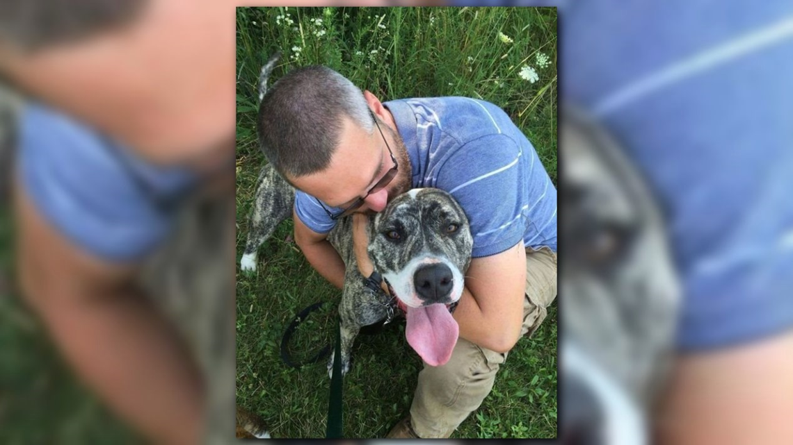 Iraq War vet fighting in Michigan court to save dogs from euthanasia ...