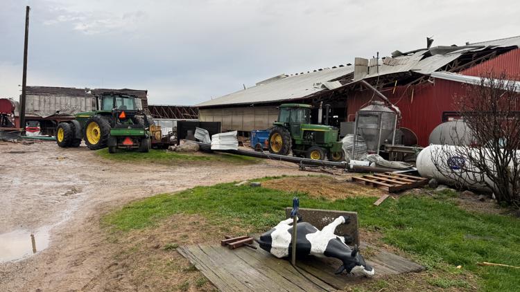 Hundreds of cows loose after tornado hits dairy farm in Michigan ...